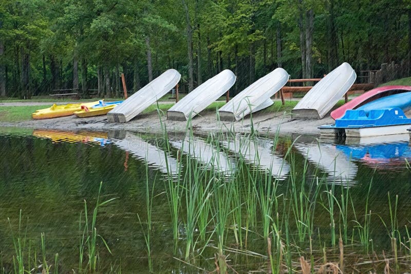 Boats on the Pond stock image. Image of boats, green - 23790781