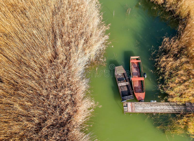 Boats in the reed stock photo. Image of calm, nature - 106491184