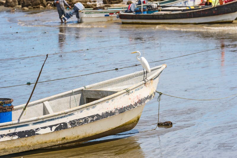 Boats on the Shore in El Rompio Panama Stock Image - Image of rompio ...