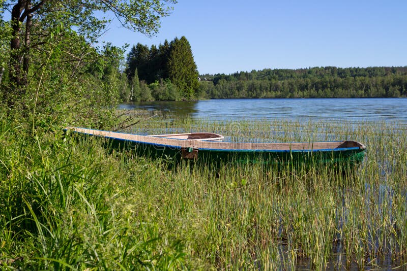 Boats at the Shore of a Forest Lake, Standing in the Grass Stock Photo ...