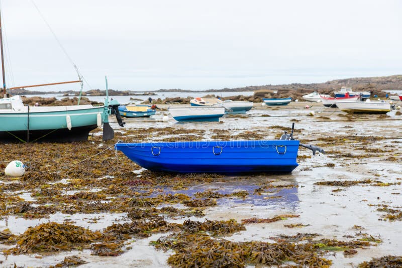 Boats at low tide stock image. Image of nature, fish - 47523423