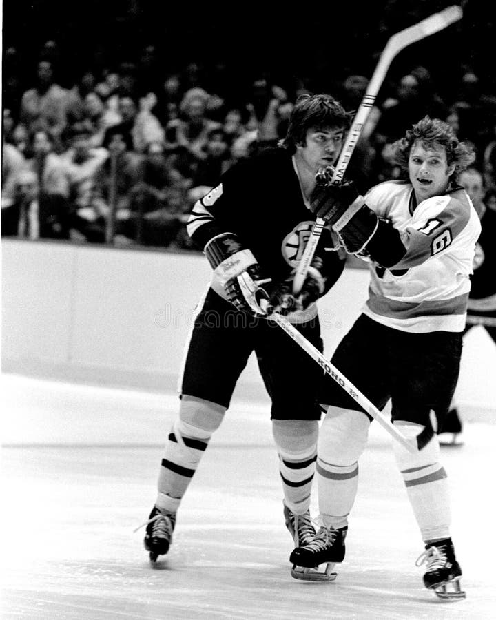 4,029 Nhl Photos - Free & Royalty-Free Stock Photos from Dreamstime