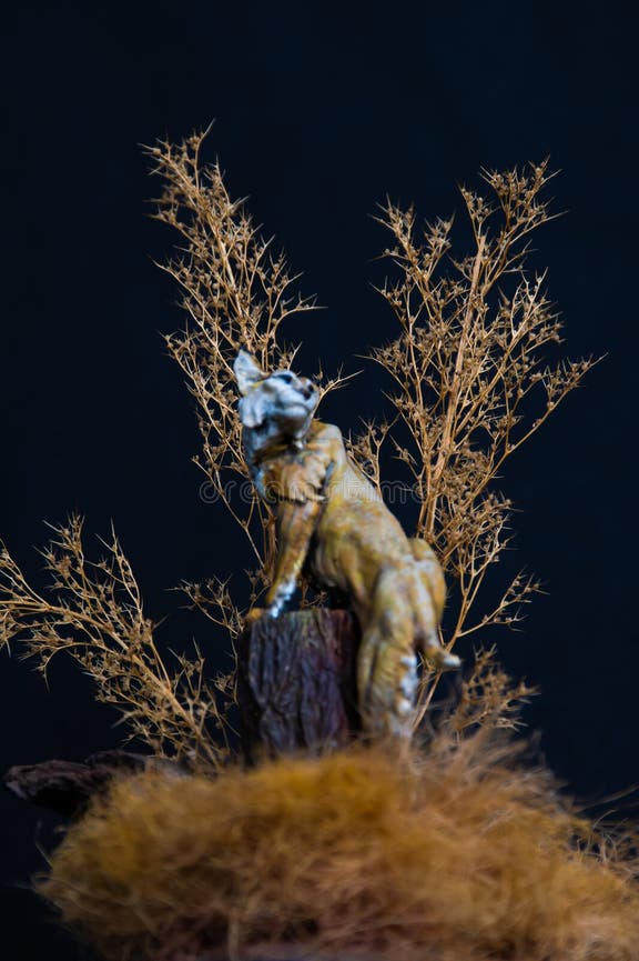 Bobcat Lynxin the dark stock photo. Image of forest - 304475506