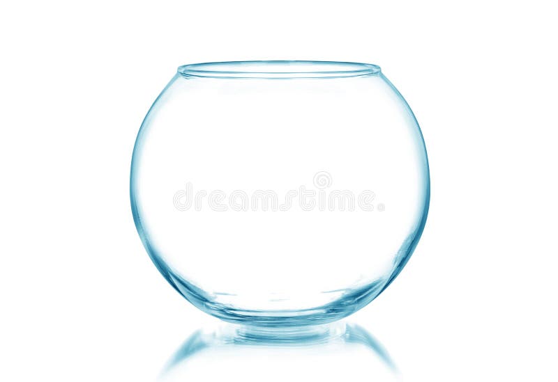 623 Bocal Poissons Photos libres de droits et gratuites de Dreamstime