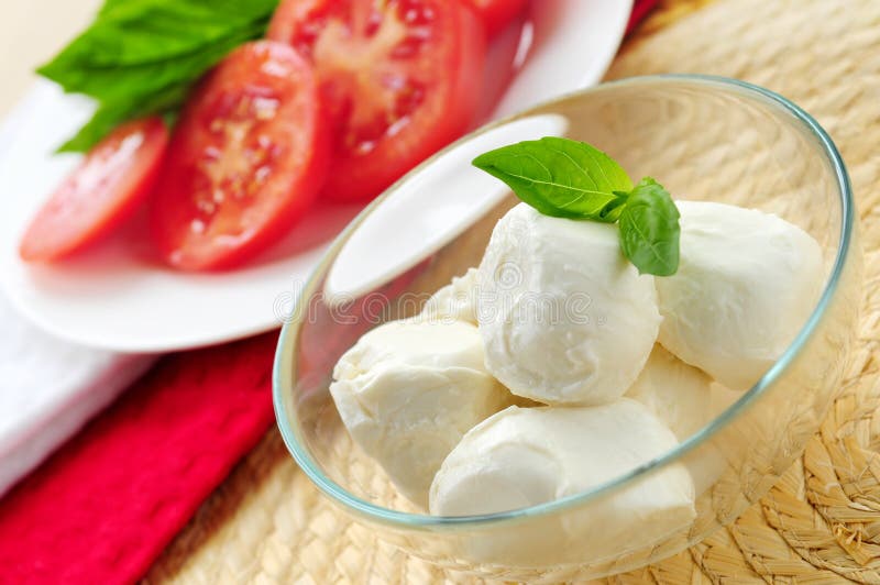 Bocconcini cheese stock photo. Image of leaf, ingredients - 3983524