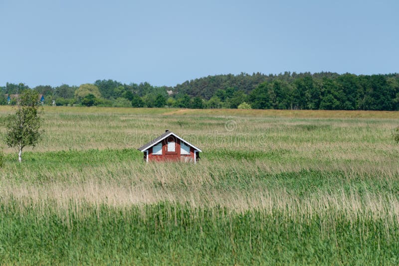 German Bodden landscape stock image. Image of grass - 141930277