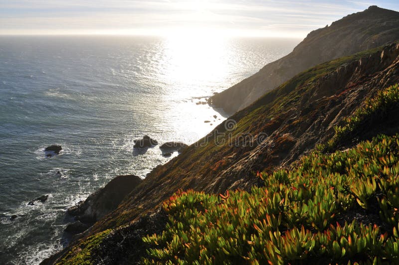 Bodega Head stock photo. Image of promontory, county - 63211682