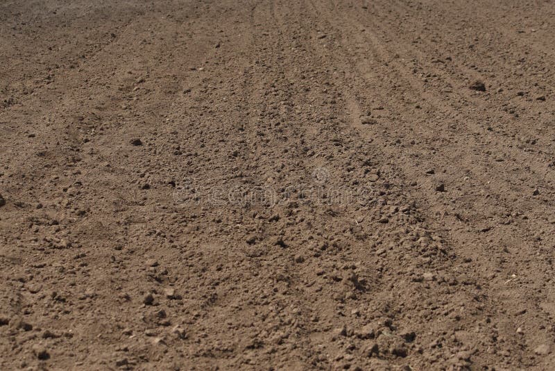Boden stockfoto. Bild von muster, feld, garten, errichten - 19837204