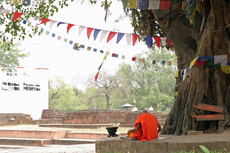 Bodhi Tree in Lumbini (Buddha S Birthplace) Stock Image - Image of ...