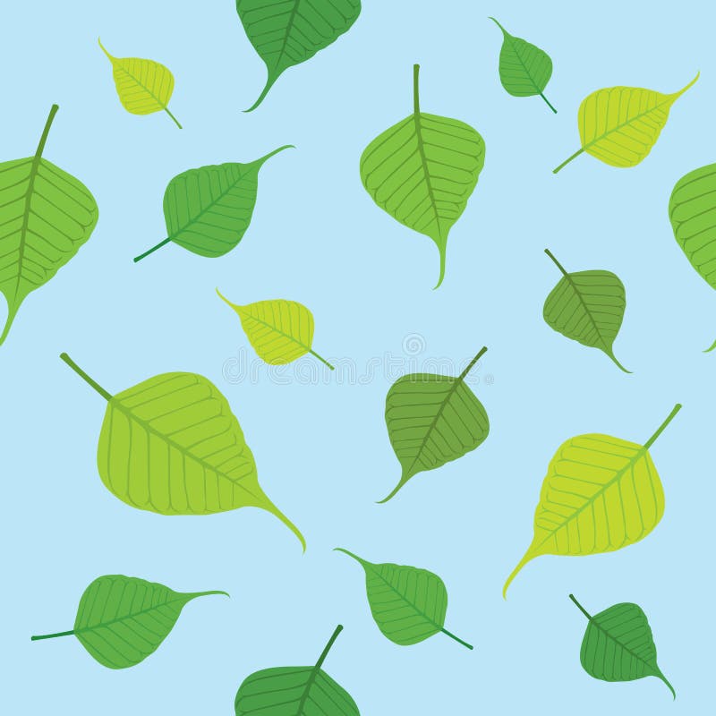 Green Bodhi Leaf Stock Illustrations – 168 Green Bodhi Leaf Stock ...