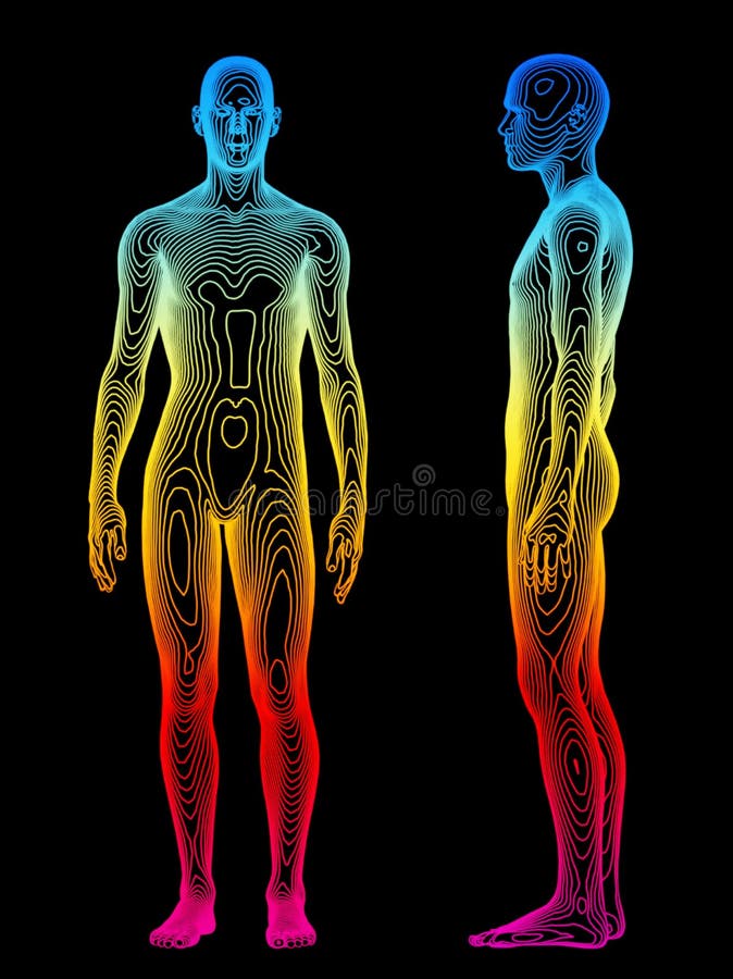 Body Analysis stock illustration. Illustration of body - 5838867