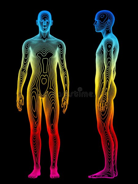 Body Analysis stock illustration. Illustration of body - 5838867
