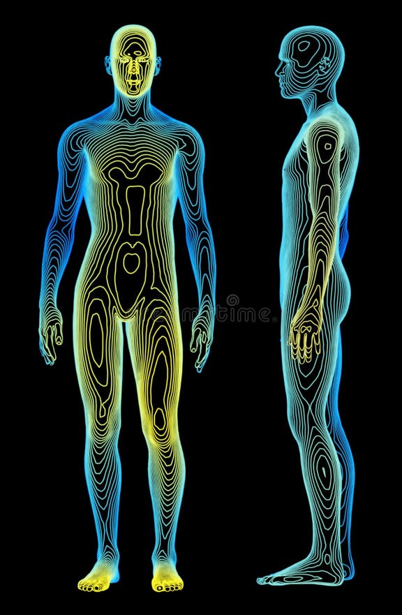 Body Stock Illustrations – 1,409,771 Body Stock Illustrations, Vectors ...