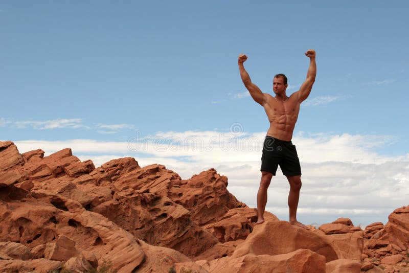 Body builder stock image. Image of abdomen, exercise, fitness - 1687239