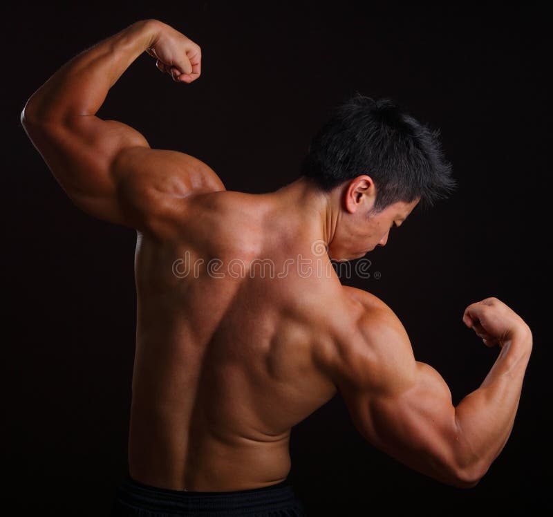 3+ Body builder flexing biceps Free Stock Photos - StockFreeImages