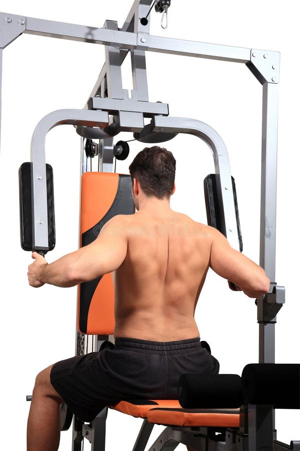 Body builder workout stock photo. Image of body, weight - 23994144