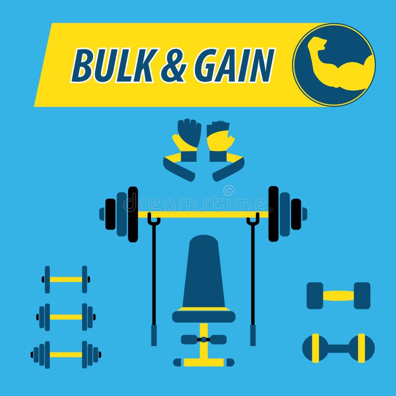 Body Building Bulk and Gain Stock Vector - Illustration of male, strong ...