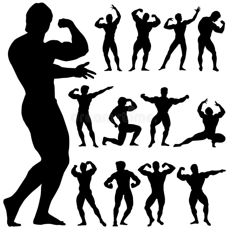 Body building vector stock vector. Illustration of bodybuilder - 9349413