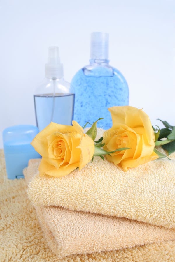 Body care items stock image. Image of mineral, luxury, salon - 502821