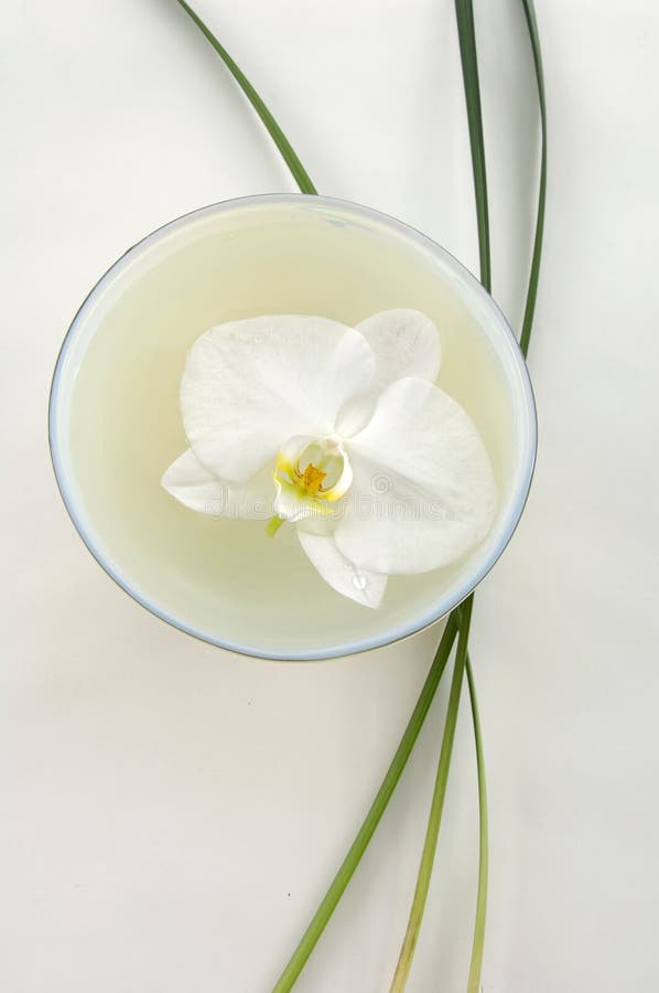 Body care items stock image. Image of health, scented - 8254909