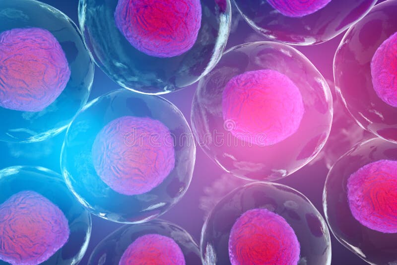 Body Cells Under a Microscope Stock Illustration - Illustration of care ...