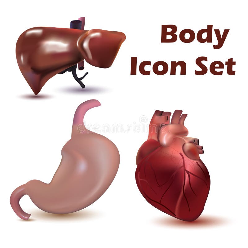 Body Icon Set. Vector Illustration Decorative Design Stock Vector ...