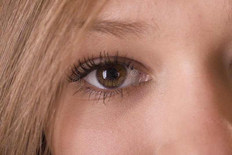 Body language stock photo. Image of communication, gesturing - 3524294