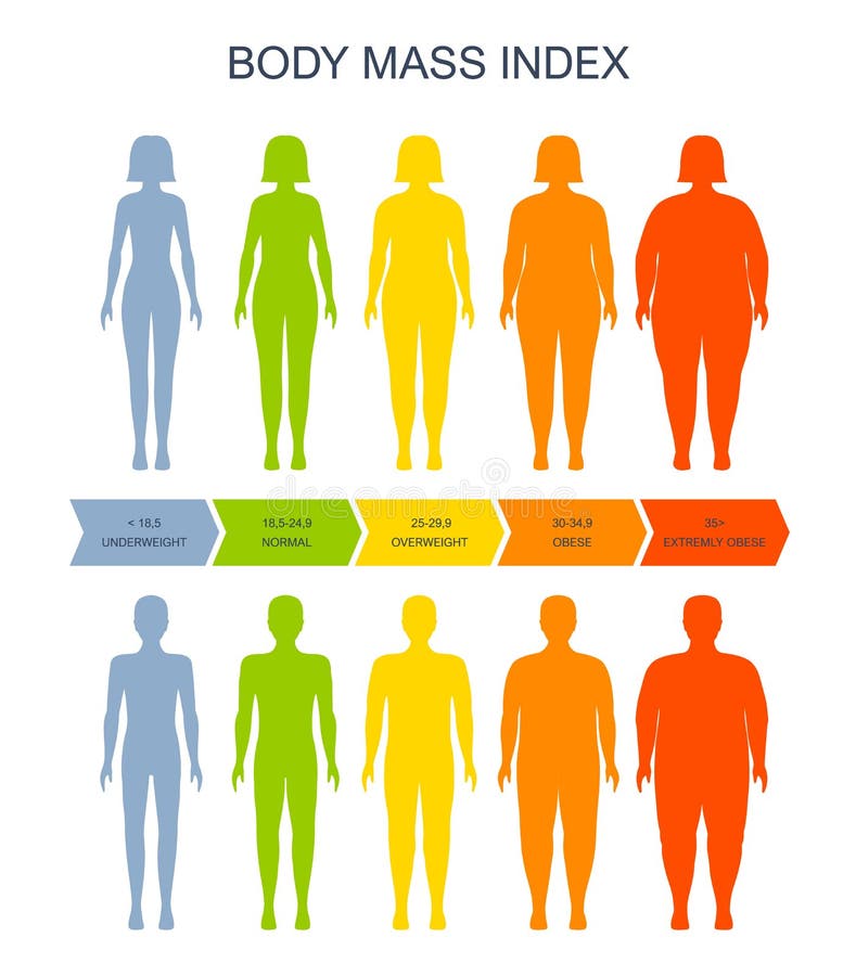 Body Mass Index Chart Bmi Of Man And Woman Scale Stock Vector Illustration Of Female Obesity