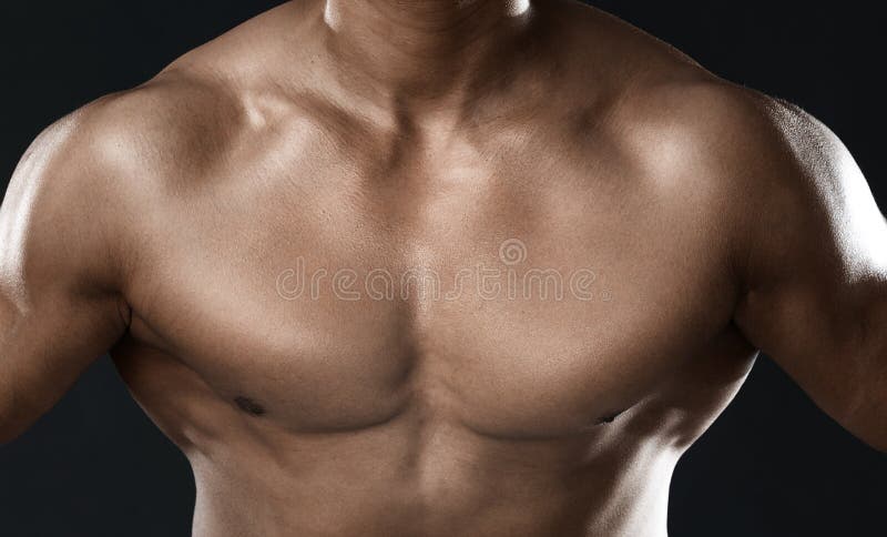 Body of muscular man stock image. Image of healthy, close - 48774809