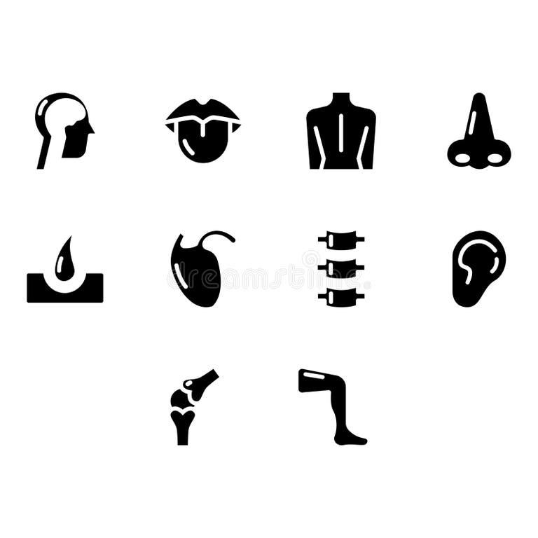 Body part icon set stock vector. Illustration of logo - 397807484