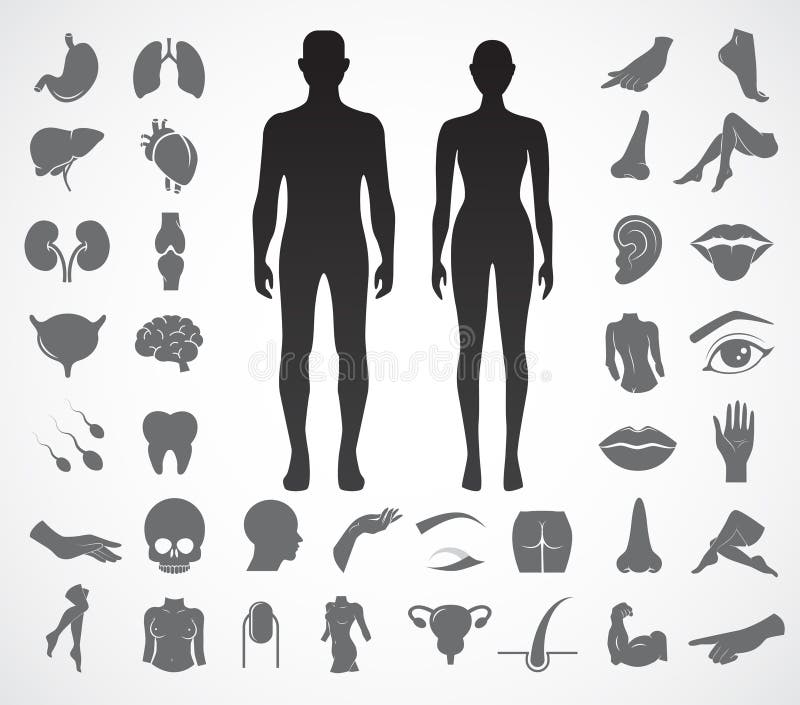 Body Parts Vector Icon Set. Stock Vector - Illustration of people, hair ...