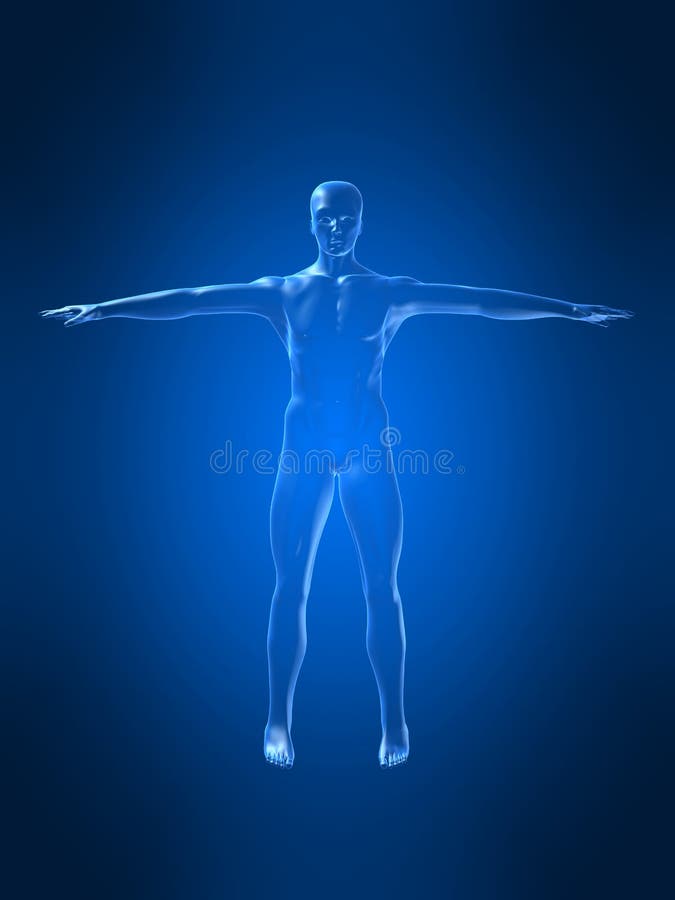 Body Shape Stock Illustrations – 184,401 Body Shape Stock Illustrations ...