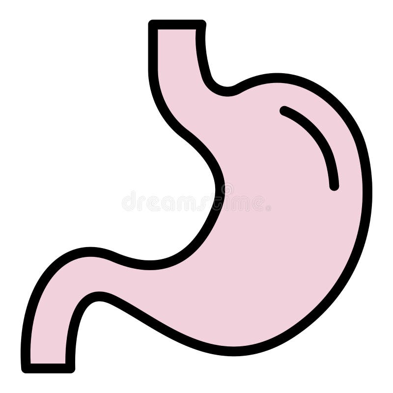 Body Stomach Icon Color Outline Vector Stock Vector - Illustration of ...