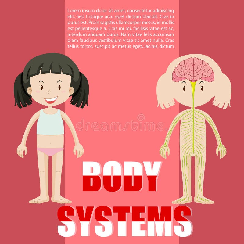 Body system of a girl stock vector. Illustration of clipart - 66395193