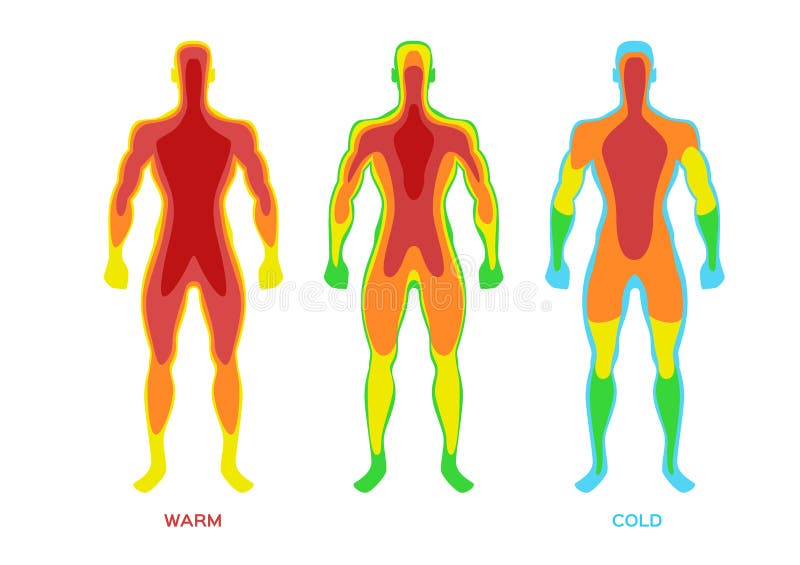Body Temperature Stock Illustrations – 11,112 Body Temperature Stock ...