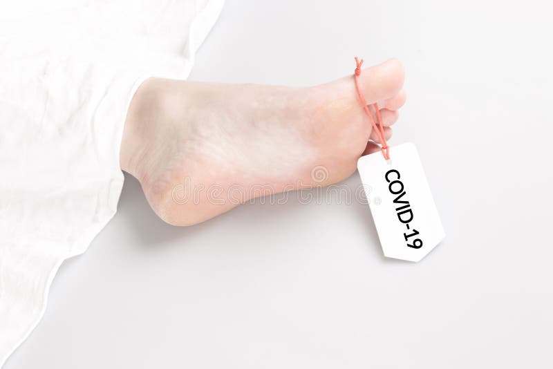 Body with toe tag on white stock photo. Image of dissection - 236579342