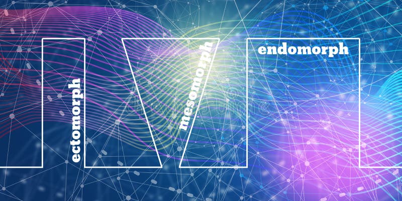 Body Types Icons Set. Ectomorph, Mesomorph and Endomorph. Stock ...