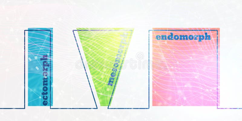 Body Types Icons Set. Ectomorph, Mesomorph and Endomorph. Stock ...