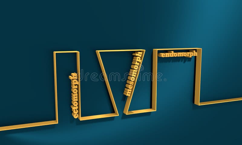 Body Types Icons Set. Ectomorph, Mesomorph and Endomorph. Stock ...