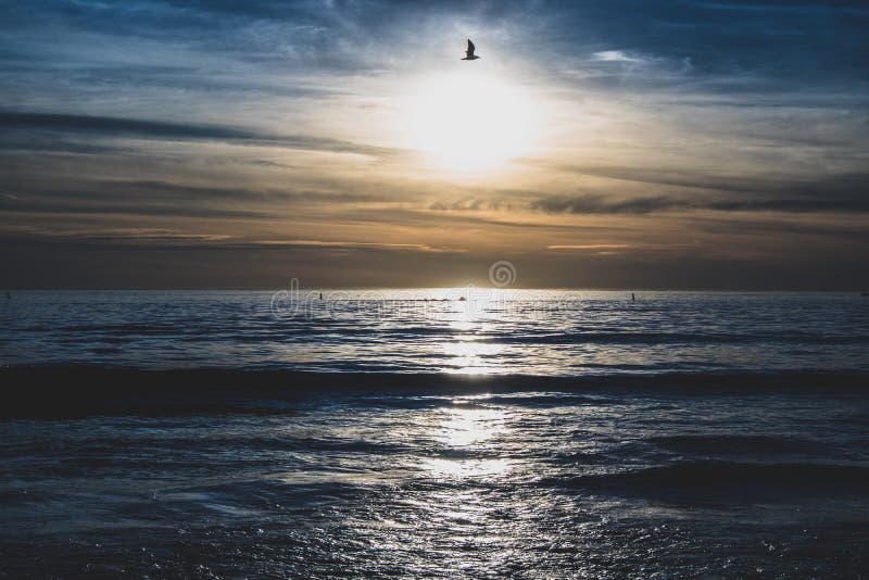 Body of Water during Sunset Stock Photo - Image of seascape, daytime ...