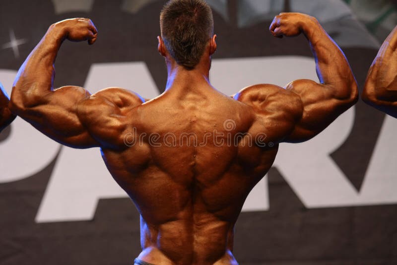 119 Peter Molnar Stock Photos - Free & Royalty-Free Stock Photos from ...