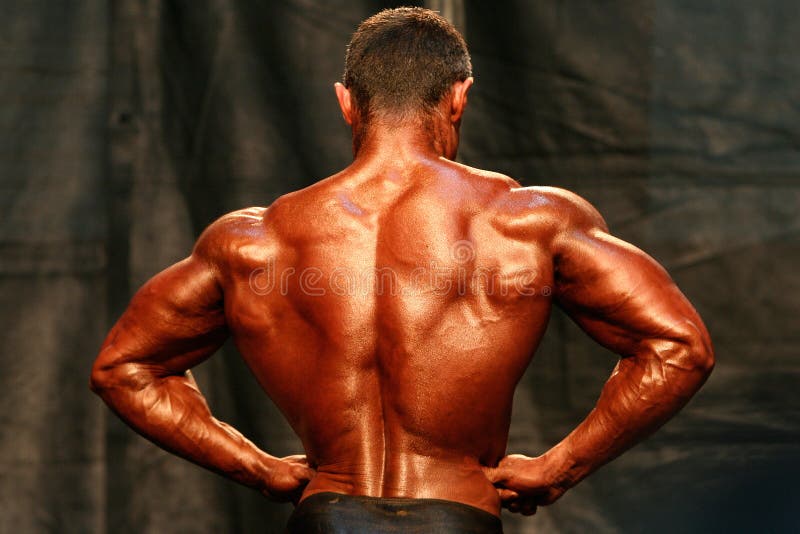 Bodybuilder stock image. Image of body, perfect, male, strong - 862545