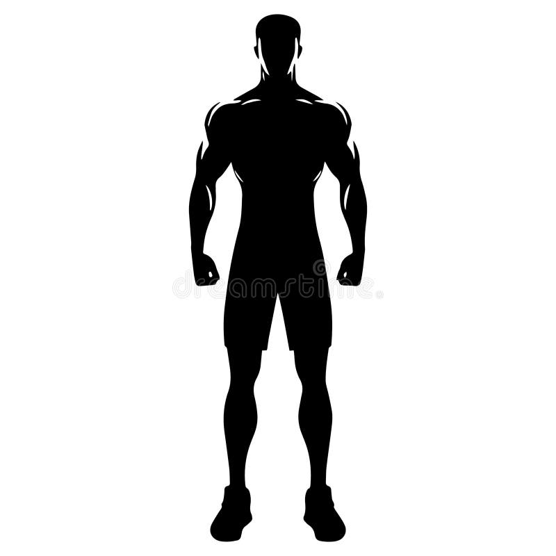 Bodybuilder Arm Muscles Isolated on a White Background Stock ...
