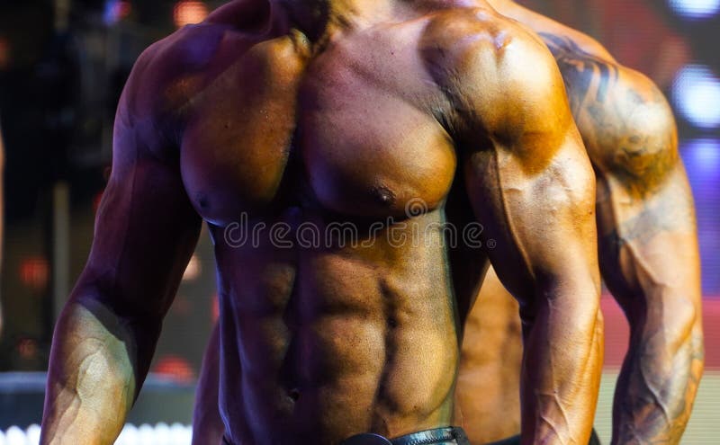Bodybuilder. Body Part Details. Bodybuilder in Competition, Detail ...