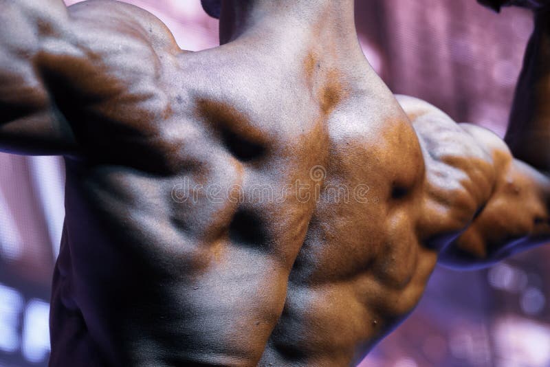Bodybuilder. Body Part Details. Bodybuilder in Competition, Detail ...
