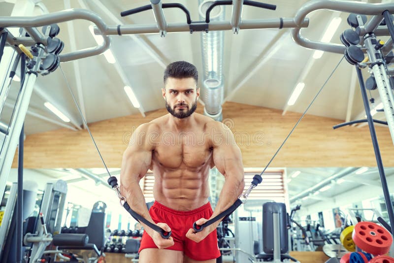 Bodybuilder Does Exercises on Simulator in the Gym Stock Image - Image ...
