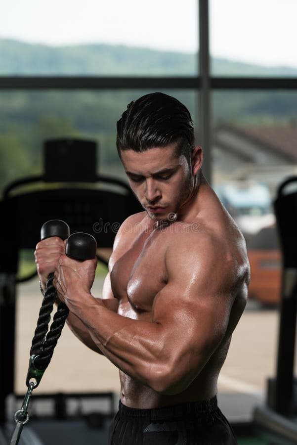 Bodybuilder Doing Exercise for Biceps Stock Photo - Image of exercises ...