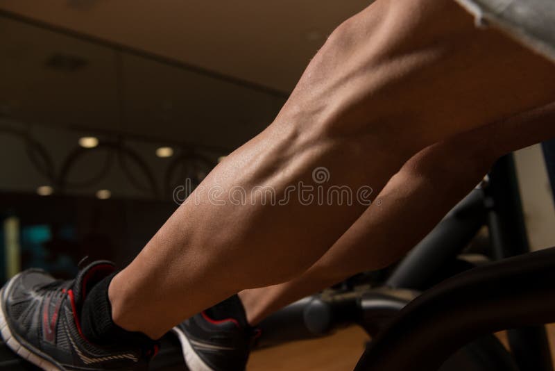 Bodybuilder Legs stock image. Image of build, muscle - 39414533
