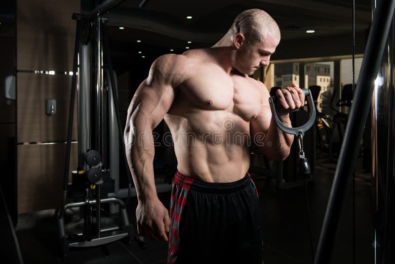 Bodybuilder Exercising Biceps Stock Image - Image of health, male ...