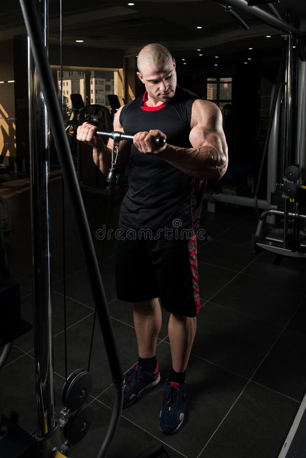 Bodybuilder Exercising Biceps Stock Photo - Image of attractive, muscle ...